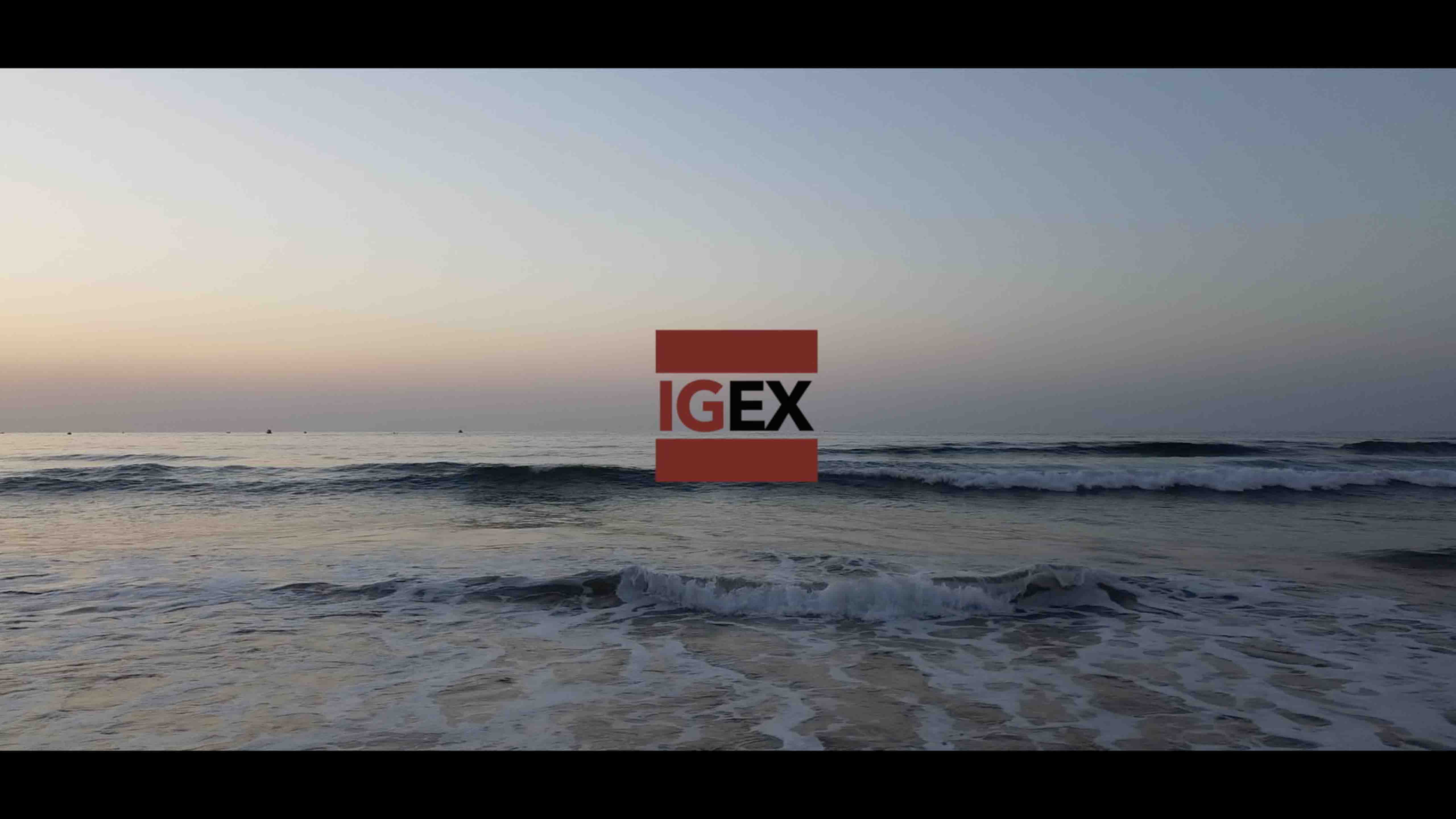 IGEX Global